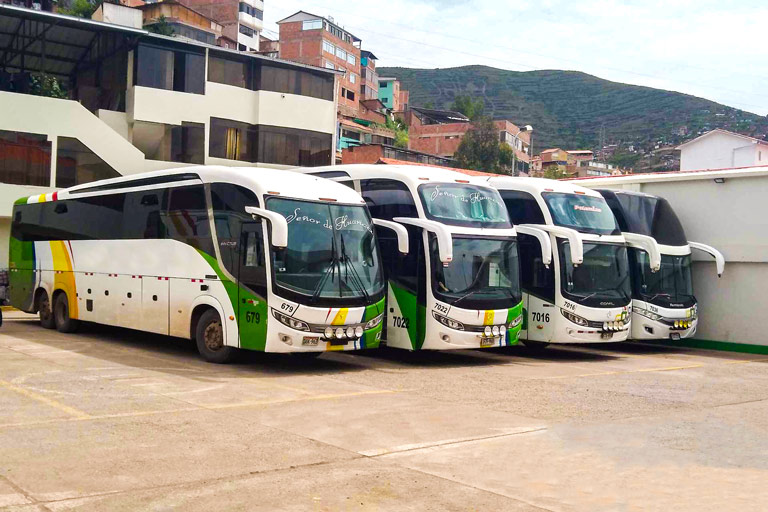 ¿Hay buses públicos a lugares turísticos? Lo que debes saber